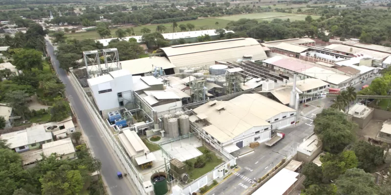 Global CDMO Service Network